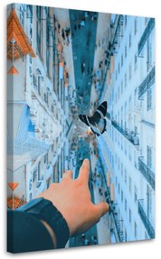 Gario Obraz na plátně Budovy City Hand Butterfly - Bryantama Art Rozměry: 40 x 60 cm