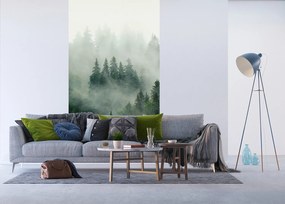 Vliesová fototapeta na zed' Lesní Mlha | 150 x 270 cm | DFT2P2545