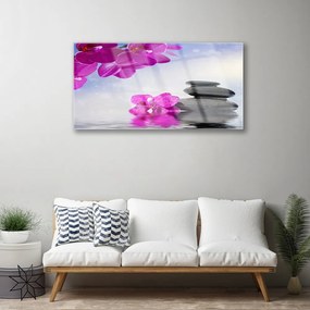 akrylový obraz Květiny Kameny Rostlina 100x50 cm