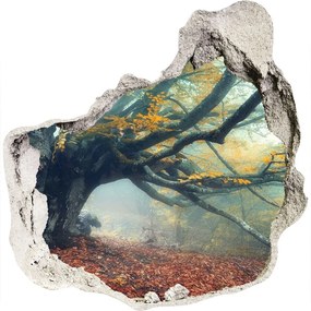 Wallmuralia Fototapeta nálepka na zeď Starý strom 75x75 cm