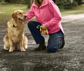 Tchibo - Vodítko pro psy - barva: modrá