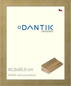 DANTIK rámeček 40x50 | ANDRÉ velká starostříbrná (Sklo Čiré)