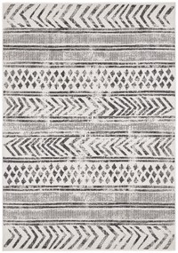 NORTHRUGS - Hanse Home koberce Kusový koberec Twin Supreme 103860 Biri Black/Cream – na ven i na doma - 200x290 cm