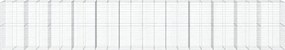 Gabionový koš s víkem 1 200 x 100 x 200 cm pozinkované železo 3295247