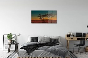 akrylový obraz oblohy stromu 100x50 cm