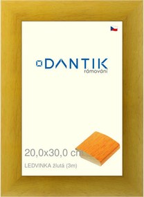 DANTIK rámeček 20x30 | LEDVINKA žlutá (Sklo Čiré)