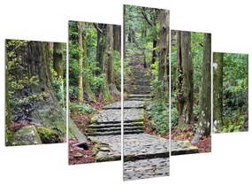 Obraz kamenných schodů v lese (150x105 cm)