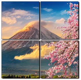 Obraz na plátně - Hora Fuji a třešňové květiny na jaře- čtverec 3266E (100x100 cm)