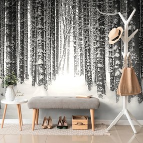 Samolepící fototapeta černobílý les zahalený sněhem - 150x100 cm