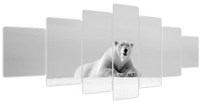 Obraz - Lední medvěd, černobílá (210x100 cm)