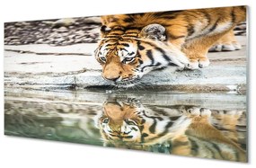 Obraz na skle tiger pití 100x50 cm