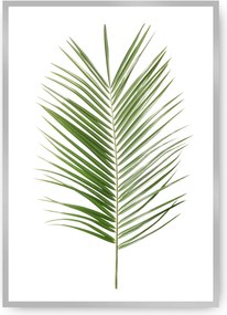Plakát Palm Leaf Green