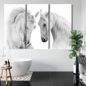 Vícedílný obraz Dva Koně Na Bílém Pozadí Nedostatek Nedostatek Plátno Canvas 120x80