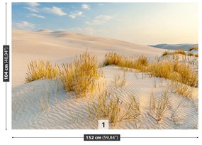 Fototapeta Bunesk Dunes 104x70