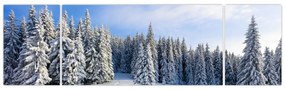 Obraz - Zima v lesích (170x50 cm)