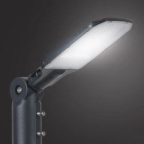 BRILAGI - LED Venkovní pouliční lampa URBANLIGHT LED/50W/230V antracit IP65