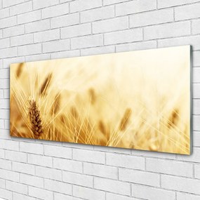 akrylový obraz Pšenice Rostlina Příroda 125x50 cm