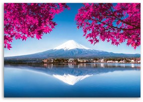 Gario Obraz na plátně Hora Fuji, jezero a růžové listy Rozměry: 60 x 40 cm