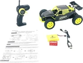 EPEE RC bugina / měřítko 1:14 / 2,4 GHz / 20 km/h / 2 barevné varianty