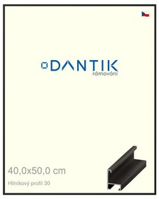 DANTIK rámeček 40x50 | ALU profil 6030 Černá matná (Sklo Čiré)