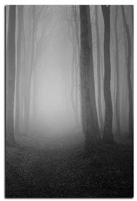 Obraz na plátně - Mlha v lese - obdélník 7182QA (120x80 cm)