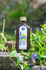 Hyalutidin DC ACTIV pro psy a kočky 2x125ml