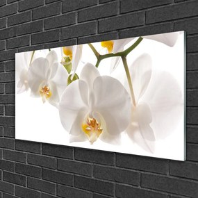 Obraz na skle Orchidej Květiny Příroda 140x70 cm