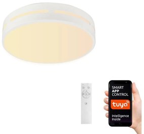 Immax NEO 07153-W40 - LED Stmívatelné svítidlo PERFECTO 24W/230V Wi-Fi Tuya + DO