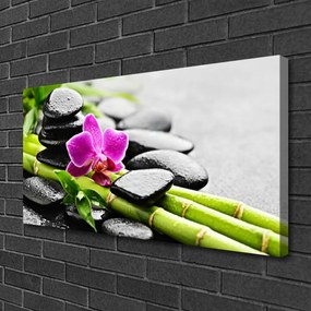 Obraz na plátně Bambus Květ Kameny Umění 100x50 cm