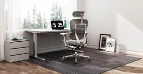 Kancelářská židle Ergohuman 2 Elite ST GS grey