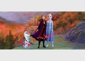 Dětská vliesová fototapeta na zed' Ledové království Les, Disney | 202 x 90 cm | DFTDNH 5387