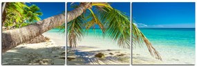 Obraz na plátně - Pláž s palmami - panoráma 584B (120x40 cm)