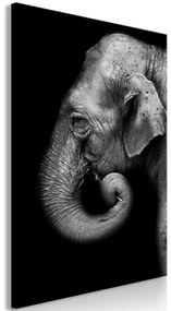 Obraz - Portrait of Elephant (1 Part) Vertical