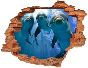 Wallmuralia Díra 3D fototapeta na stěnu Tři delfíni 90x70 cm