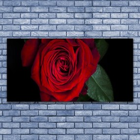 Obraz na plátně Růže 120x60 cm