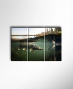 Malvis ® Obraz Štika pod vodou ROZMĚR (šířka x výška): třídílný obdélník 90x60 cm