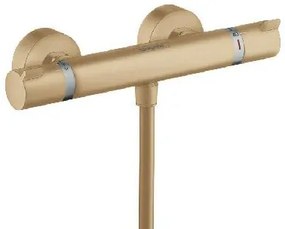 Hansgrohe Ecostat Comfort - Termostatická sprchová baterie, kartáčovaný bronz 13116140