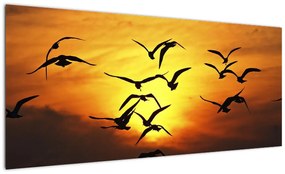 Obraz letících ptáků (100x40cm)