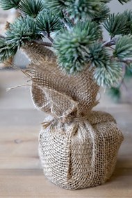 Zelený ojíněný vánoční cedrový stromek v jutě Fleur Cedar Tree - 30 cm