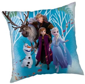 Jerry Fabrics Polštářek Frozen 02 Family 40x40 cm