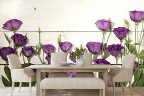 Samolepící fototapeta nádherné fialové květiny - 150x100 cm
