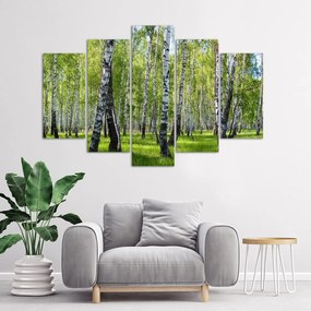 Gario Obraz na plátně Břízy - 5 dílný Rozměry: 100 x 70 cm