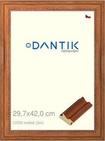 DANTIK rámeček 29,7x42 | LYON hnědá (Plexi Čiré)
