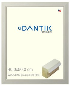 DANTIK rámeček 40x50 | WOODLINE bílá prodřená (Sklo Čiré)