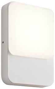 Redo 90128 - LED Venkovní nástěnné svítidlo COLIN LED/9W/230V 4000K IP54 bílá