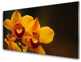 Obraz na skle Květiny Rostlina 125x50 cm