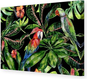 Obraz na płátně Tropical Birds