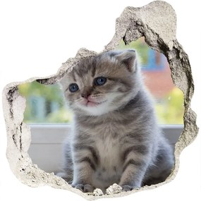 Wallmuralia Díra 3D fototapeta na stěnu Malá kočka u okna 75x75 cm