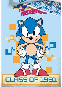 Carbotex Dětské povlečení Ježek Sonic Class Of 1991 140x200 + 70x90 cm