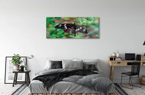 akrylový obraz List barevný motýl 120x60 cm